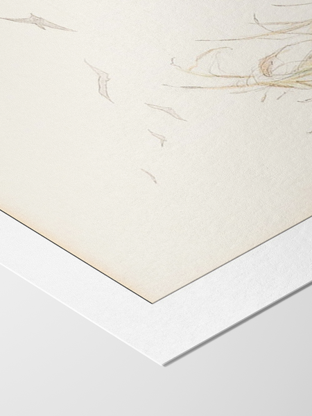 Frank Frazetta - Fire and Ice Concept - Frazetta Girls LLC | Frazetta Girls